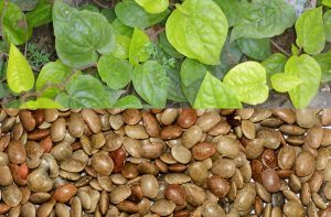 InterHealthUSA, healthy, wellness, and fitness supplements that may ...