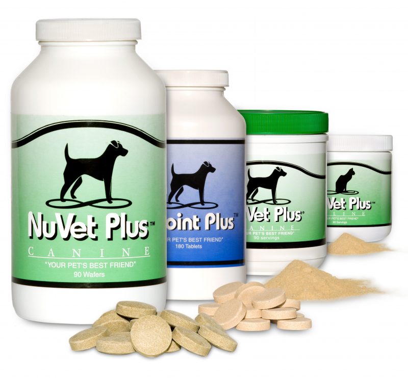 Take Care of Your Dog's Immune System and Joint Health with NuVet Labs ...